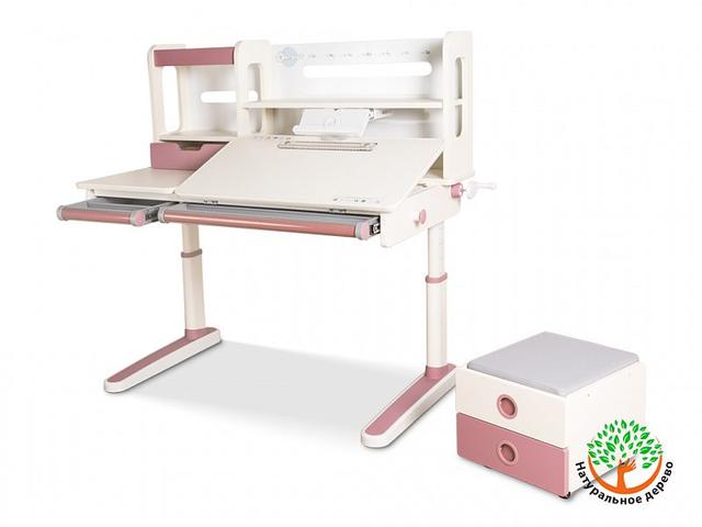 Купити Дитячий письмовий стіл із лампою та ортопедичне крісло для дівчинки | Mealux Oxford MAX ...