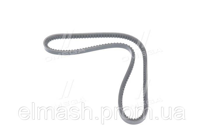 Купити Ремінь кліновий 13A1025 DAF 85 CF, 95, 95 XF, CF 85; ZETOR; CASE ...