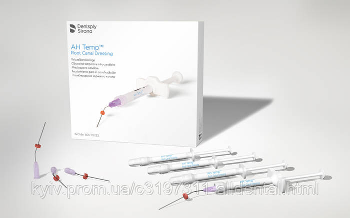 Купить Временный пломбировочный материал AH Temp Kit , набор: шприц 1х0 ...