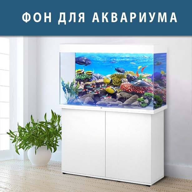 Наклейка с Рыбами и Морской Флорой для Аквариума 40х65 См. — Купить ...