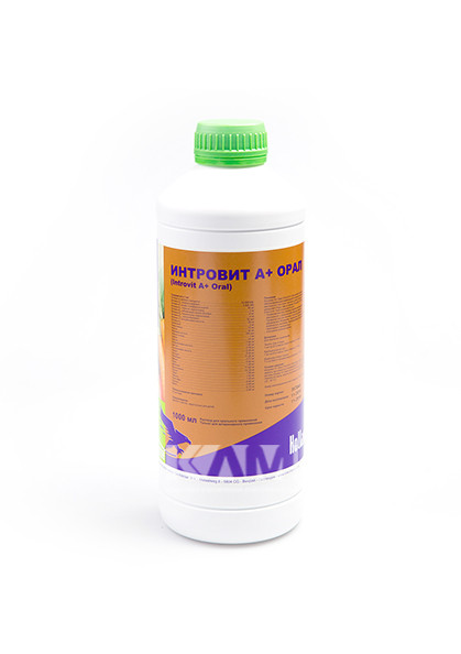 Купити Интровит А + Орал, 1 л, Interchemie, ціна 650 ₴ - Prom.ua (ID ...