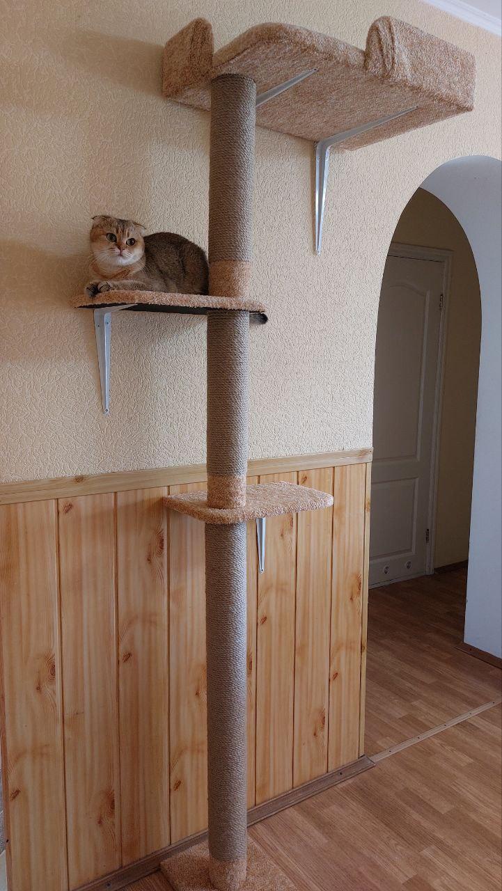 Настенный Игровой Комплекс Когтеточка для Кота, Кошки с Большой ...