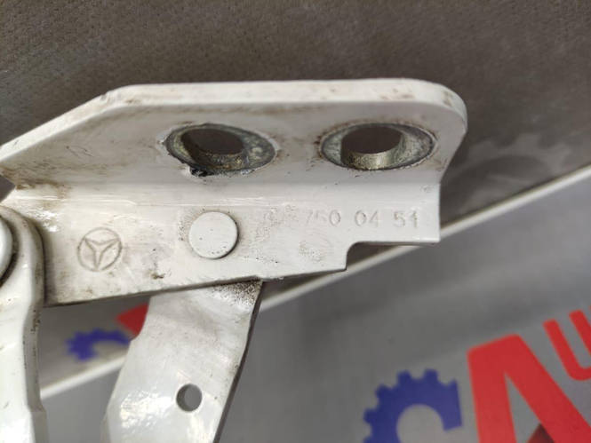 Купить Навес капота левый, правый 9017500351 для Mercedes-Benz Sprinter ...