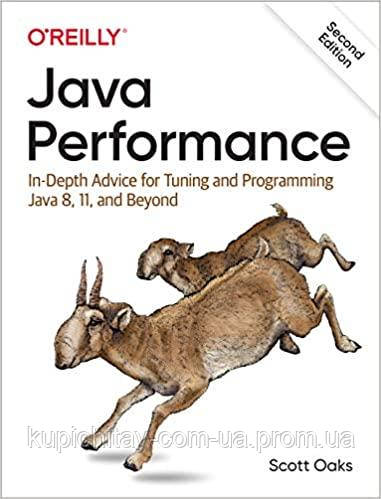 Java Performance: In-Depth Advice for Tuning and Programming Java 8, 11 ...