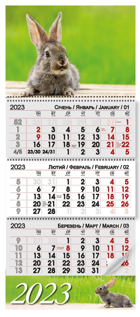 Купити Квартальний календар 2023 Символ року Зайченя ціна 84 грн
