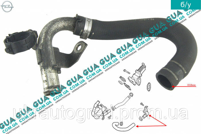 Купить Патрубок / трубка системы охлаждения ( от теплообменника к ...