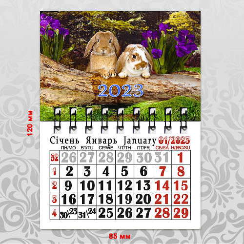 Календар на магніті рік Кролика 2023 А7 024 (ID#1683701568), цена: 7.50 ...