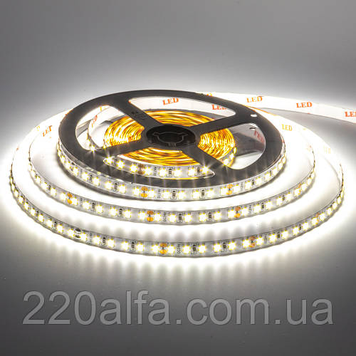Купить Led лента 24В нейтральная белая AVT smd2835 120LED/m IP20, 1м ...