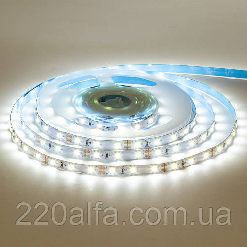 Купить Led лента 12В белая AVT-Prof smd2835 60LED/m IP20, 1м, цена 105 ...