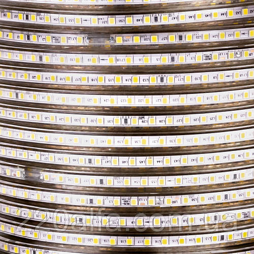 Купити Led стрічка 220В біла тепла AVT smd2835 120LED/m 4 W IP65, 1 м ...