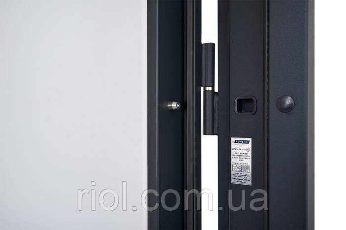 Купить Металлические входные двери Nordi Текстурная покраска RAL 7021T ...