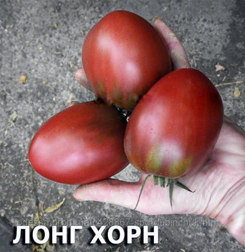 Томат лонгхорн характеристика и описание сорта фото
