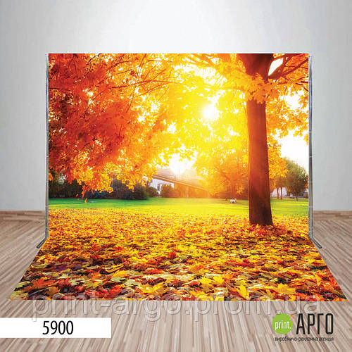 Купить Фото фон, цена 820 ₴ — Prom.ua (ID#1698428593)