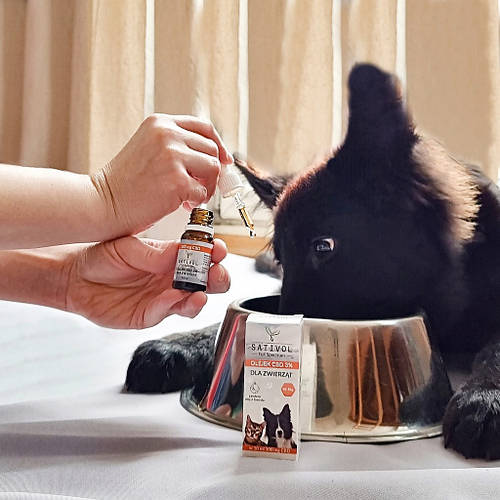 Масло КБД CBD oil для тварин 3% Sativol Full Spectrum Польща, цена 420 ...