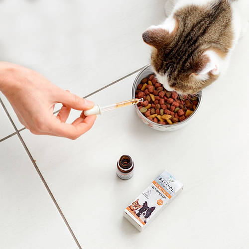 Масло КБД CBD oil для тварин 3% Sativol Full Spectrum Польща, цена 420 ...