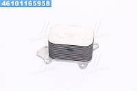 Купить Радиатор масляный CITROEN/PEUGEOT (пр-во FEBI), цена 1875.72 ...