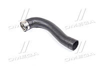 Купить Патрубок интеркулера RENAULT MASTER III с хомутами ПРЕМИУМ арт ...