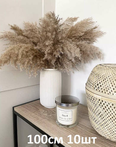 Купить Натуральный сухоцвет Тростник (камыш) для декора, 100 см (10 шт ...