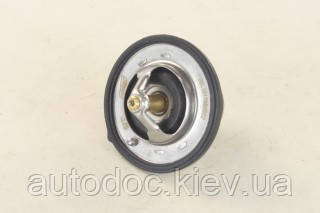 Термостат KIA CERATO, RIO 11- (RIDER), цена 183 грн — Prom.ua (ID ...