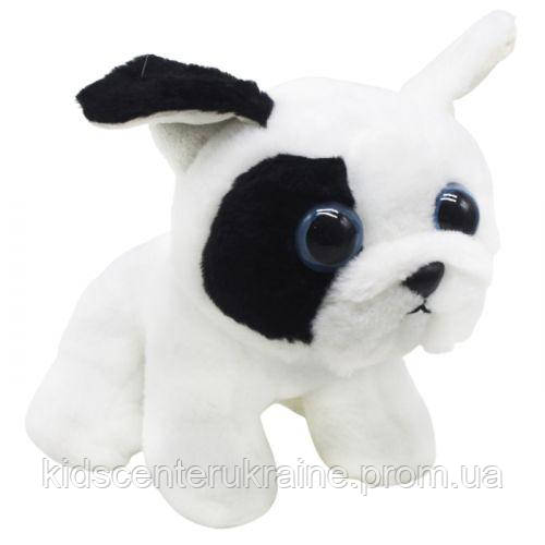 Мягкая Игрушка "Бульдог Чаппи" — Купить Недорого на Bigl.ua (1719240444)