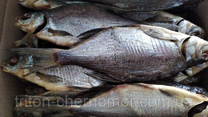 Купить Густера вяленая. Икра 40-60%, цена 250 грн — Prom.ua (ID#1724295348)