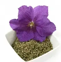 Ладанник чай 250 г (ID#1726872757), цена: 70 ₴, купить на Prom.ua