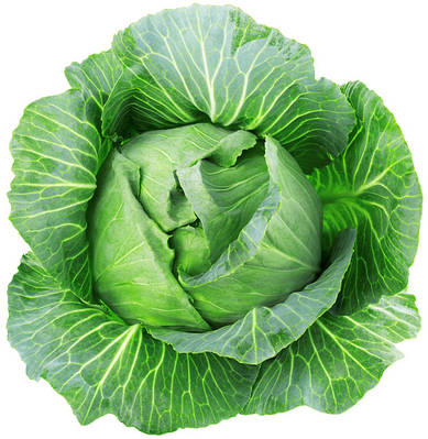 "Помидорчик - интернет магазин семян" - контакты, товары, услуги, цены