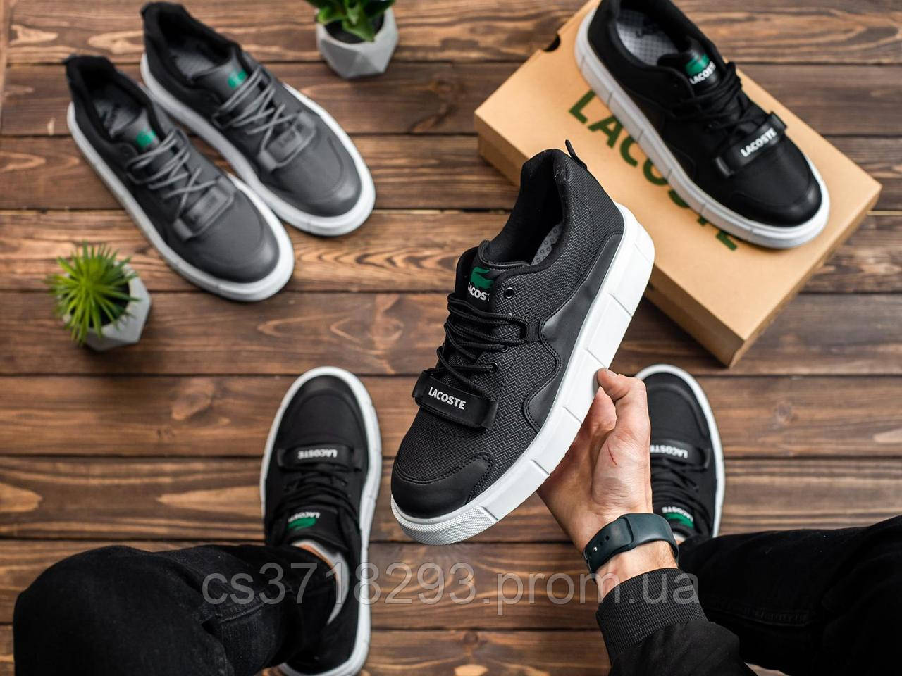 Lacoste Street Style Black-White — Купити Недорого на Bigl.ua (1739451918)