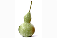 "Сучасна Дача — семена овощей, семена цветов, средства защиты растений ...