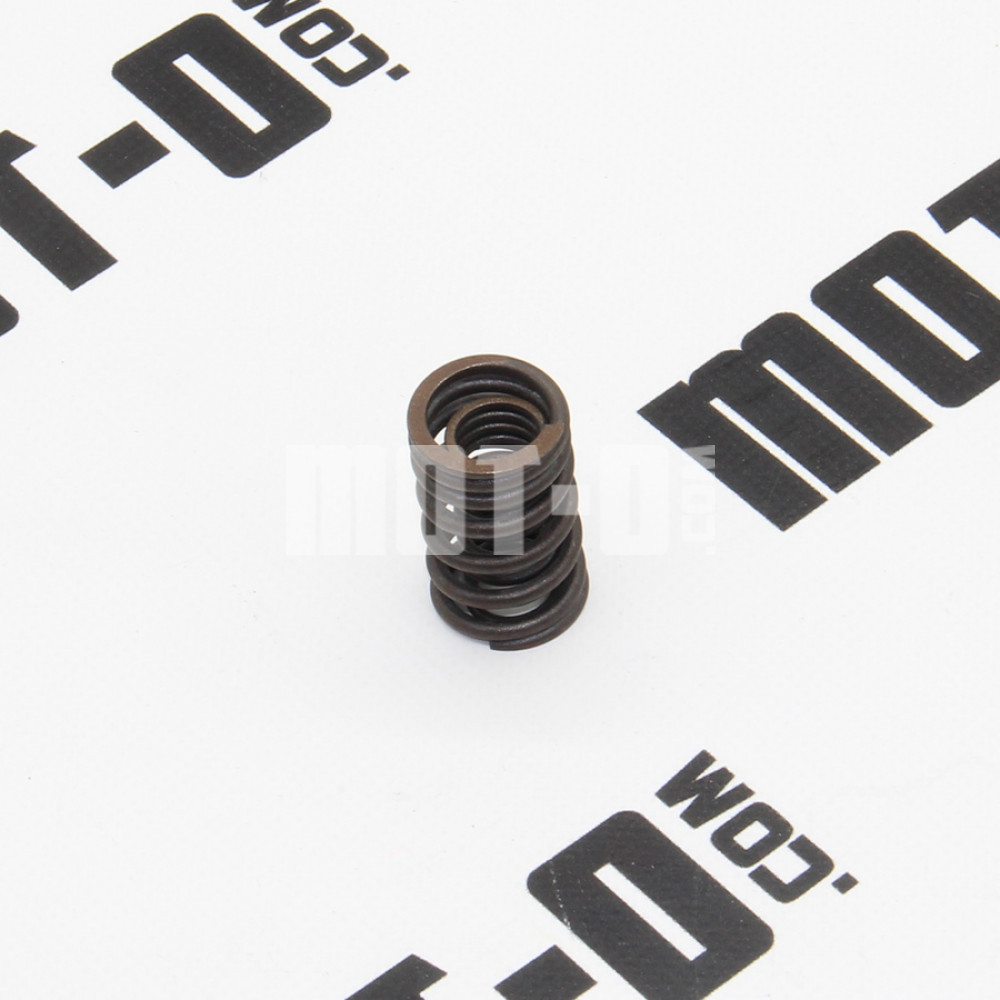 Пружина клапана (внутренняя) Shineray XY250-3A (Z1) (ID#1525272320 ...