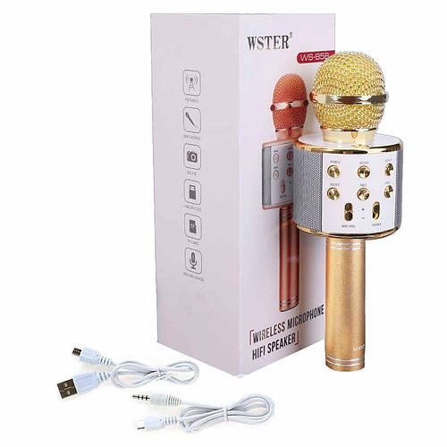 Купить Портативный караоке-микрофон wster ws-858 с колонкой, цена 326.40 ₴ — Prom.ua (ID#1746499428)