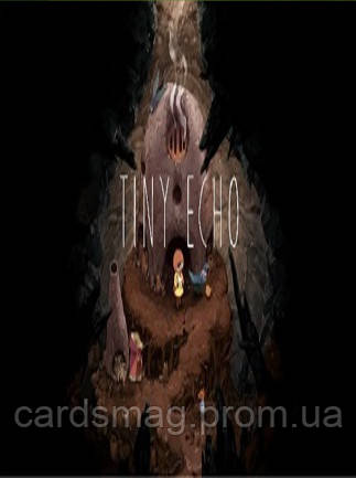Купить Tiny Echo Steam Key GLOBAL, цена 85 ₴ — Prom.ua (ID#1748998061)