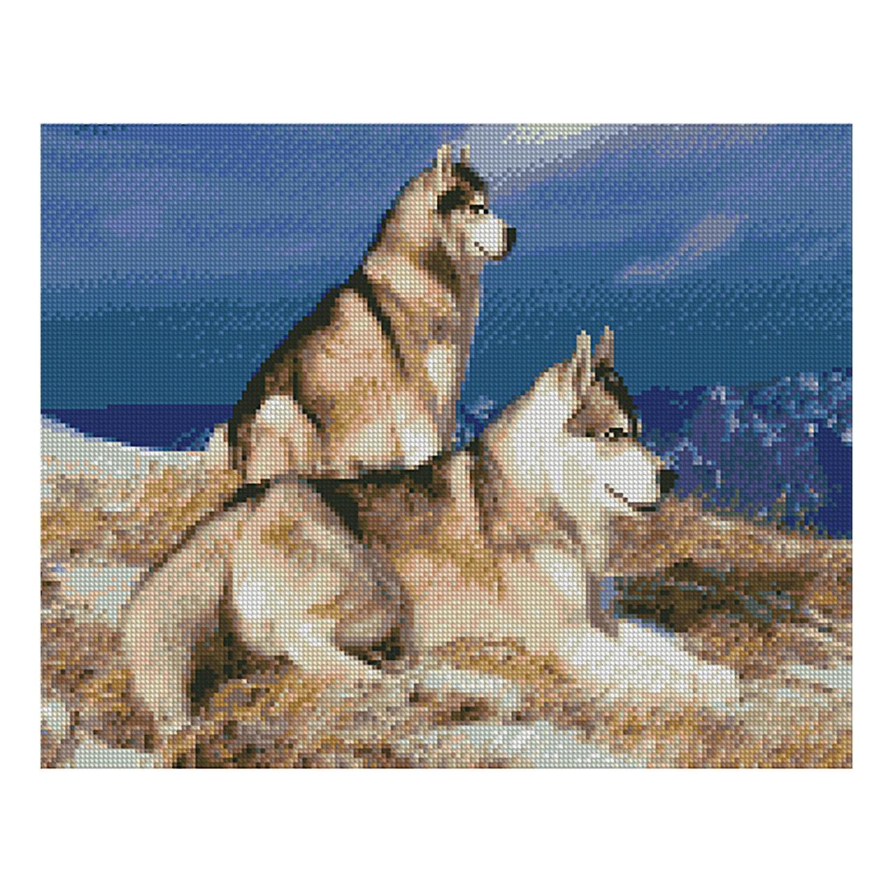 Купити Алмазна мозаїка Strateg ПРЕМІУМ Хаскі в горах 40х50 см Fa10183 ціна 597 грн Prom Ua