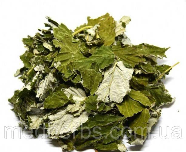 Малина Лист Сушений 50 Грім (ID#1754381560), цена: 25 ₴, купить на Prom.ua