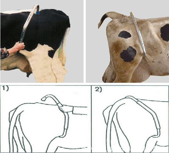 Антибрик для корів ціна 405 грн — Prom Ua Id 1760542482