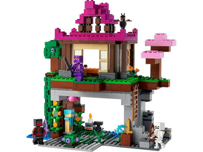 Купить LEGO Конструктор Minecraft Площадка для тренировок, цена 2749 ...