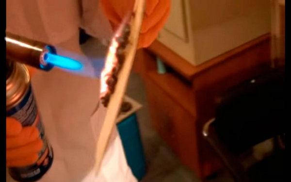 Огнезащитная краска для дерева Bionic House Fireproof coating 20 кг, цена 6057 грн — Prom.ua (ID ...