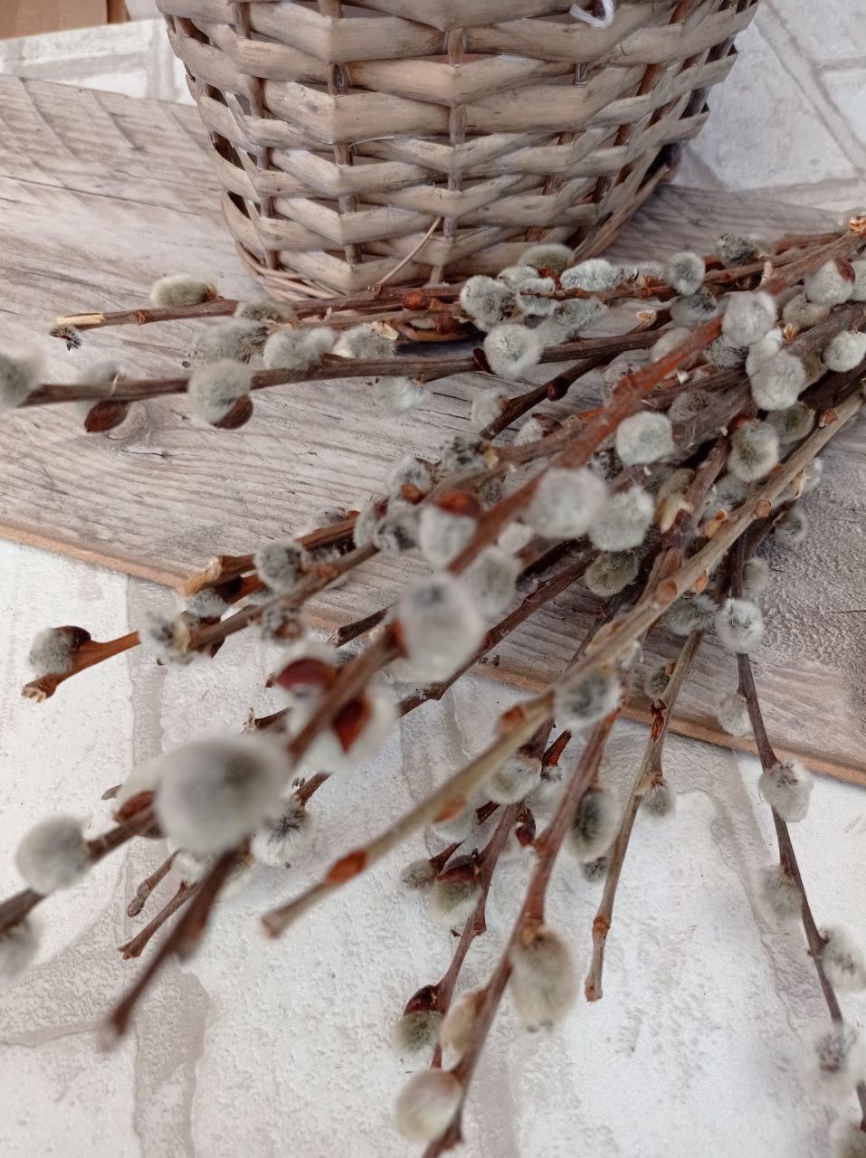 Вербові котики на гілці, 20 шт, h-30 см (ID#1773930130), ціна: 40 ...