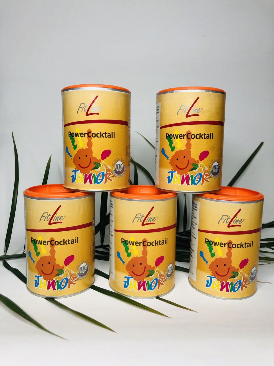 Купить FitLine® PowerCocktail Junior, цена 1300 грн — Prom.ua (ID ...