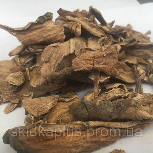 Кубышка желтая корень Карпаты 50 г SP, код: 7487797, цена 59.99 грн ...