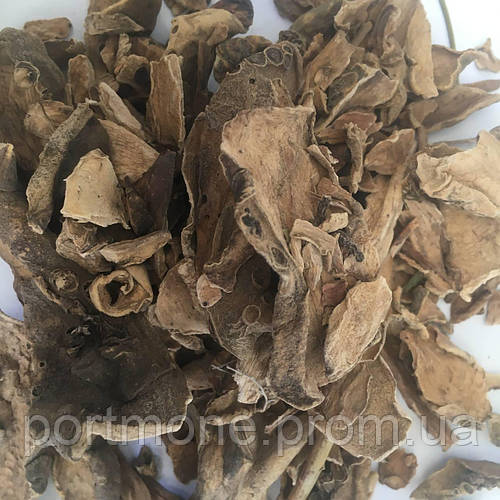 Кубышка желтая корень Карпаты 50 г PM, код: 7514377, цена 59.99 грн ...