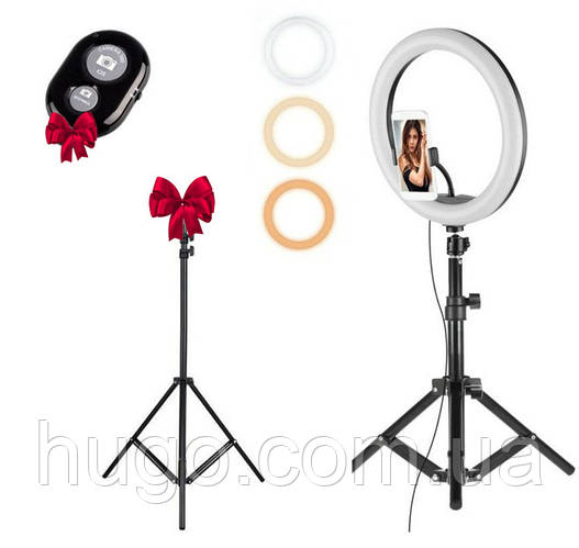Кольцевая светодиодная USB LED лампа 33см + держатель для телефона LC-330 + Подарок Штатив ...