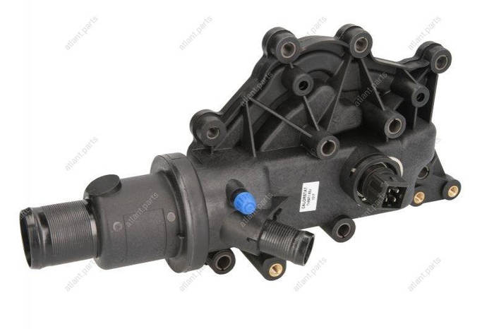 Купить Термостат Renault Megane, Grand Scenic, Fluence, Clio, Kangoo ...