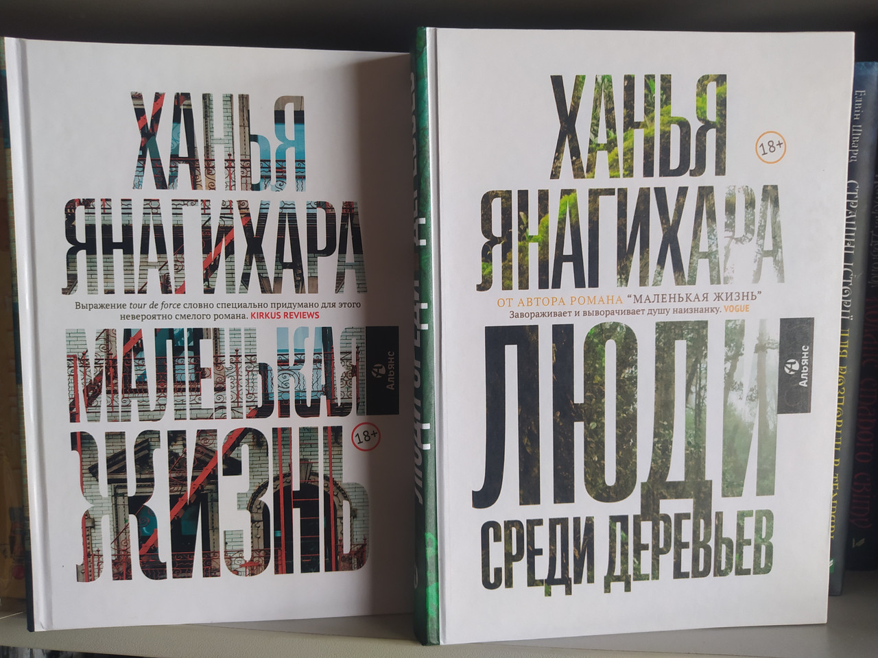 Маленькая жизнь. Люди среди деревьев. Ханья Янагихара. (Комплект) (ID ...