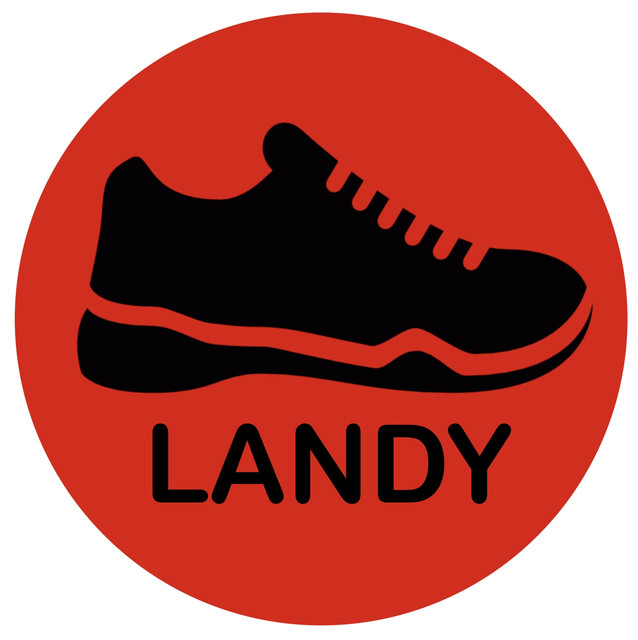 Магазин обуви та одежды Landy купить в Украине