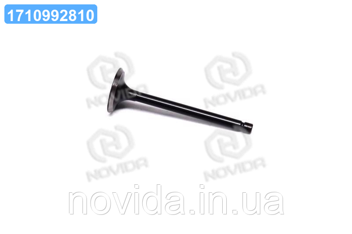 Клапан впускной ВАЗ 2101 (RIDER) 2101-1007010 (ID#1786460436), цена: 103 ₴, купить на Prom.ua