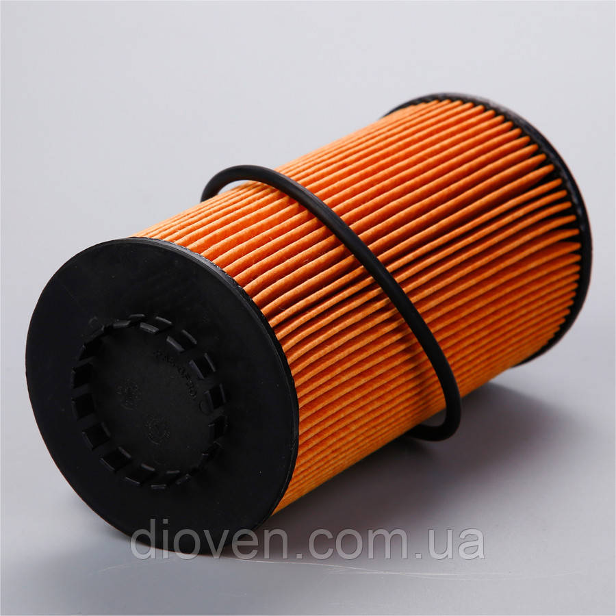 Фільтр оливний WEICHAI елемент, вставка, 1000491060 (Арт. 1000491060 ...