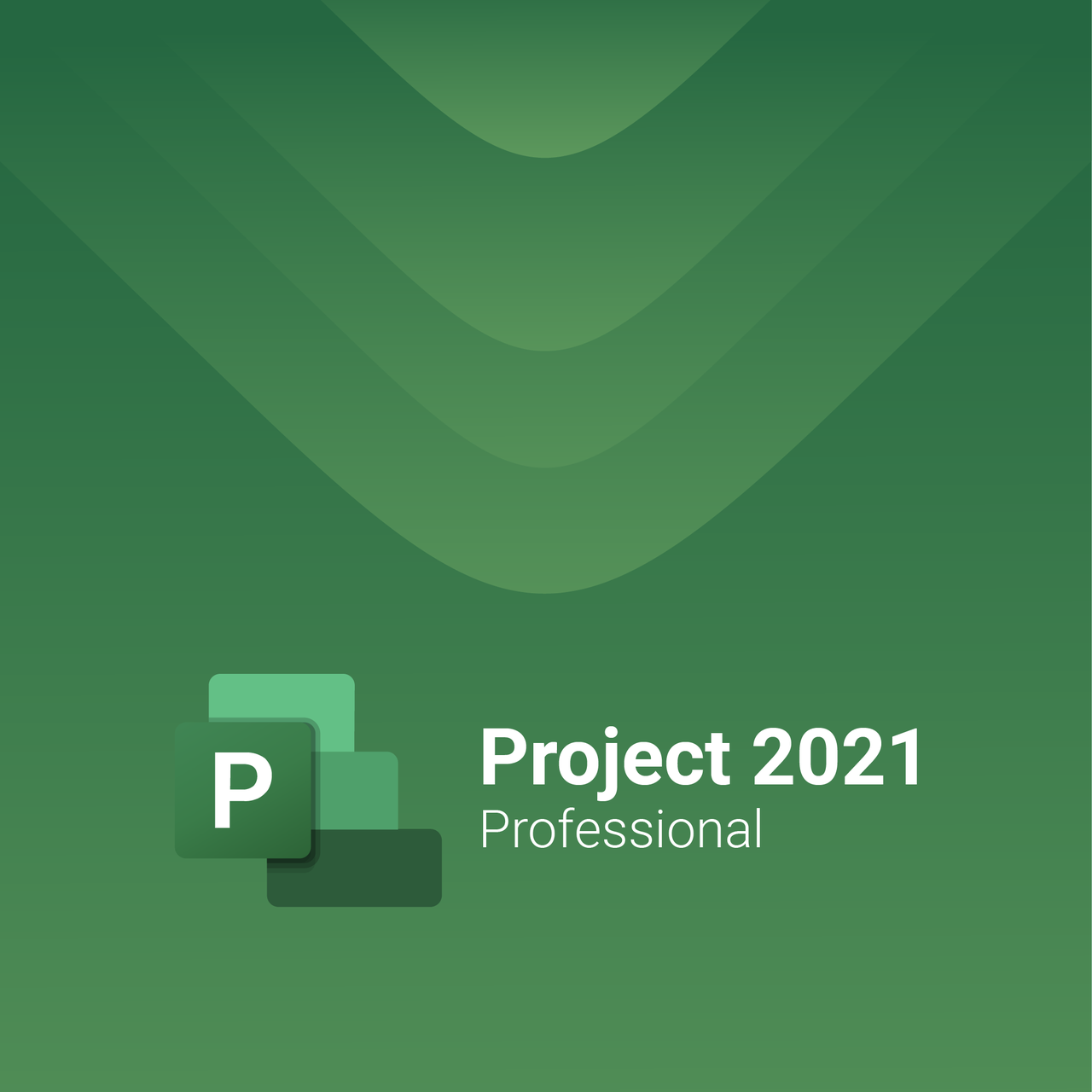 Купить Microsoft Project 2021 Pro (флешка с дистрибутивом), цена 195 ...