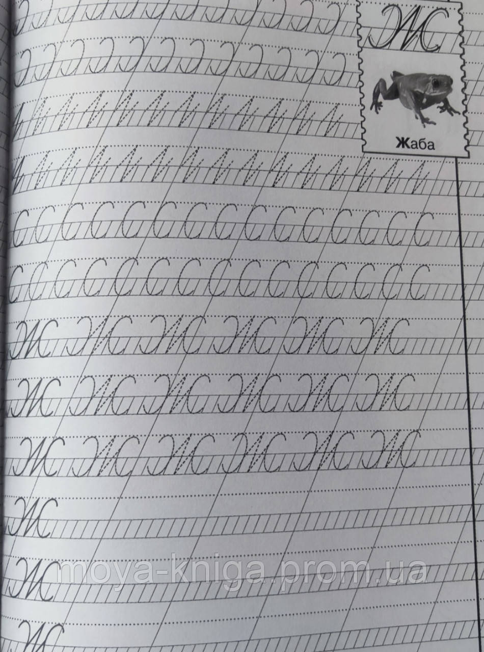 Купити Прописи українська мова. { Великі літери }, ціна 30 ₴ - Prom.ua (ID# 1787980342)