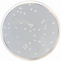 Питательный агар в категории "Промышленная химия" | Сравнить цены и ...